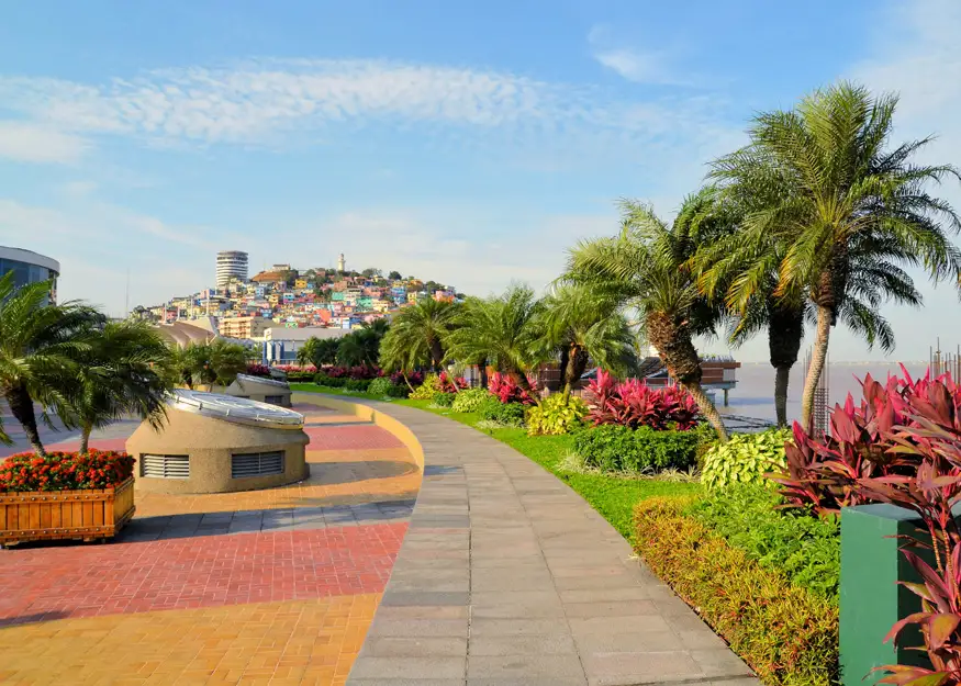 Viaggi organizzati GRAN TOUR ECUADOR 2025-26 | Guiness Travel Tour Operator